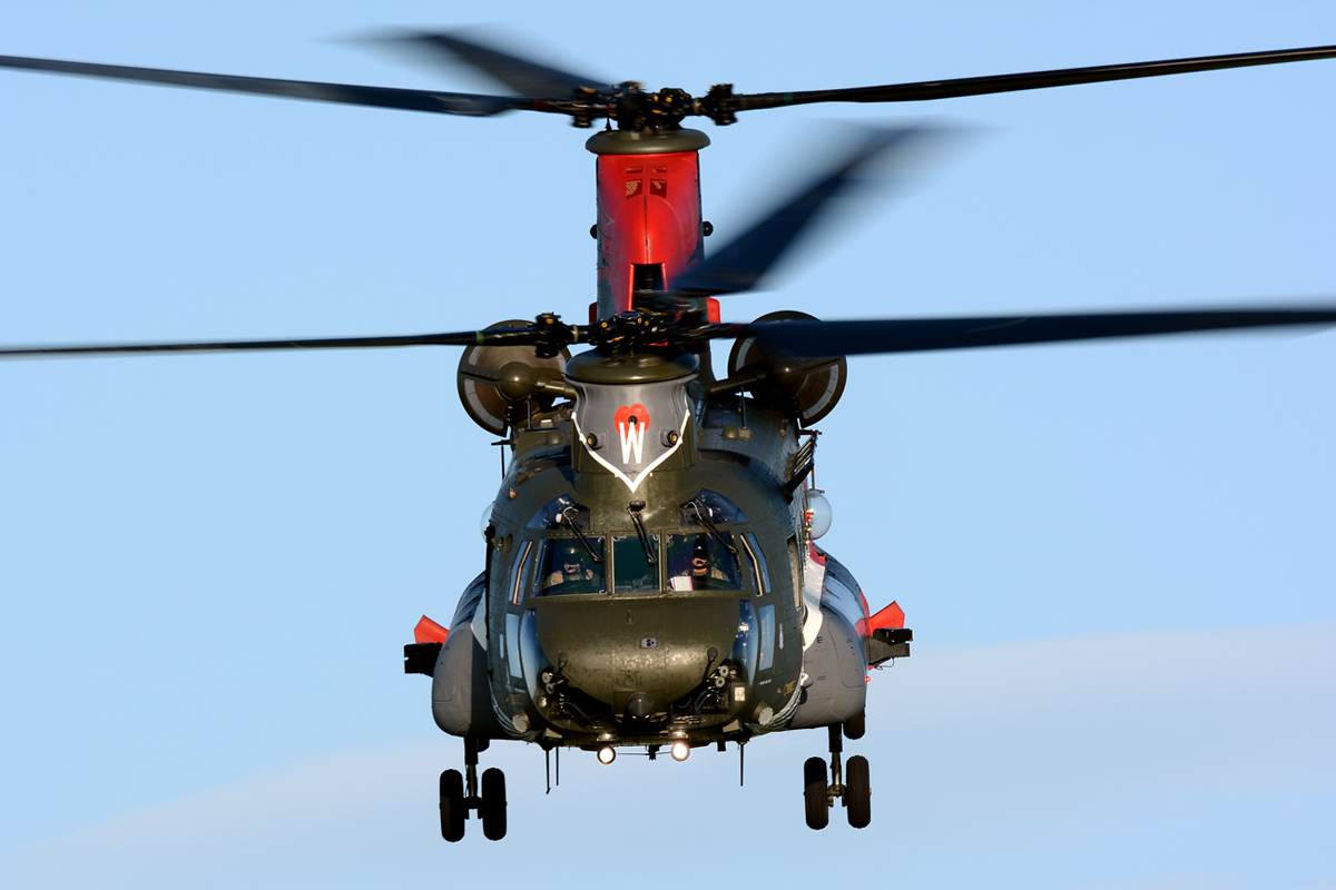 RAF Special Paint Schemes 2015 - AeroResource