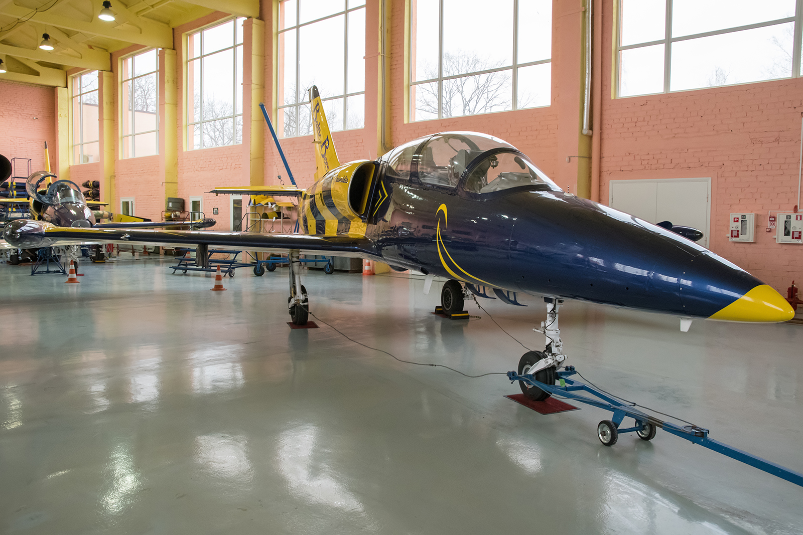 FEATURE REPORT - Baltic Bees Jet Team - AeroResource